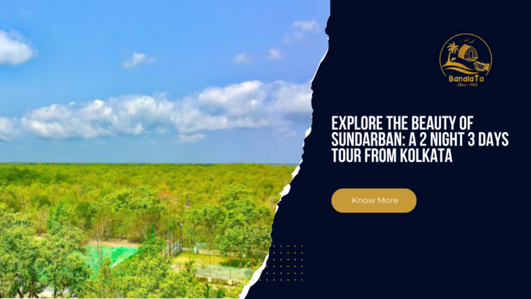 The Beauty of Sundarban: A 2 Night 3 Days Tour from Kolkata