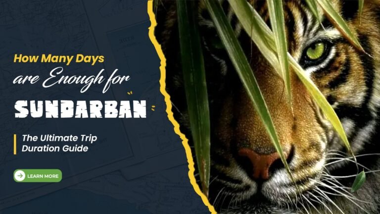 how many days are enough for Sundarban? 3D/2N Trip Guide